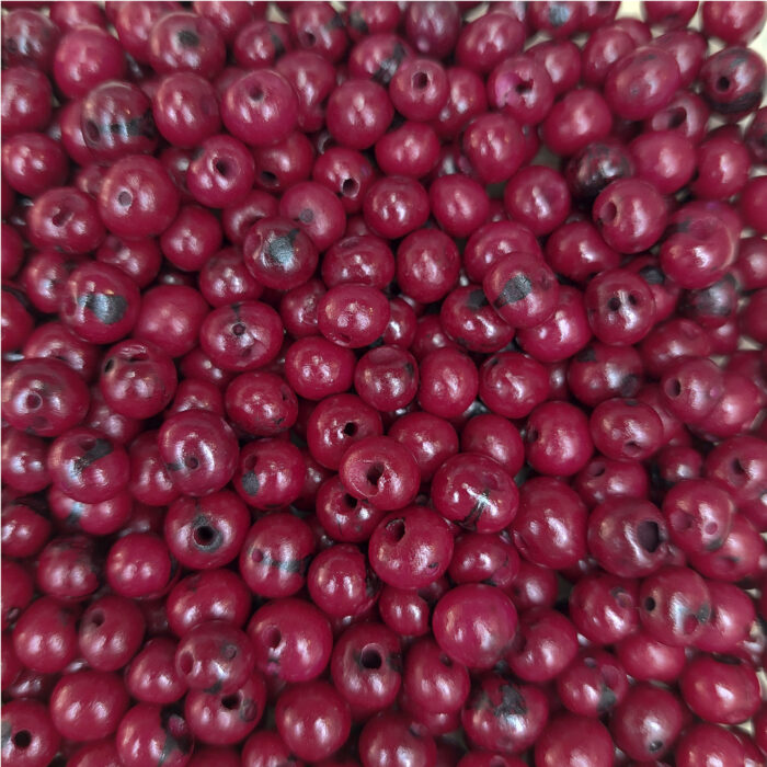 SEMENTE DE AÇAI PASSANTE COM 100 UNIDADES – Marp' Artes