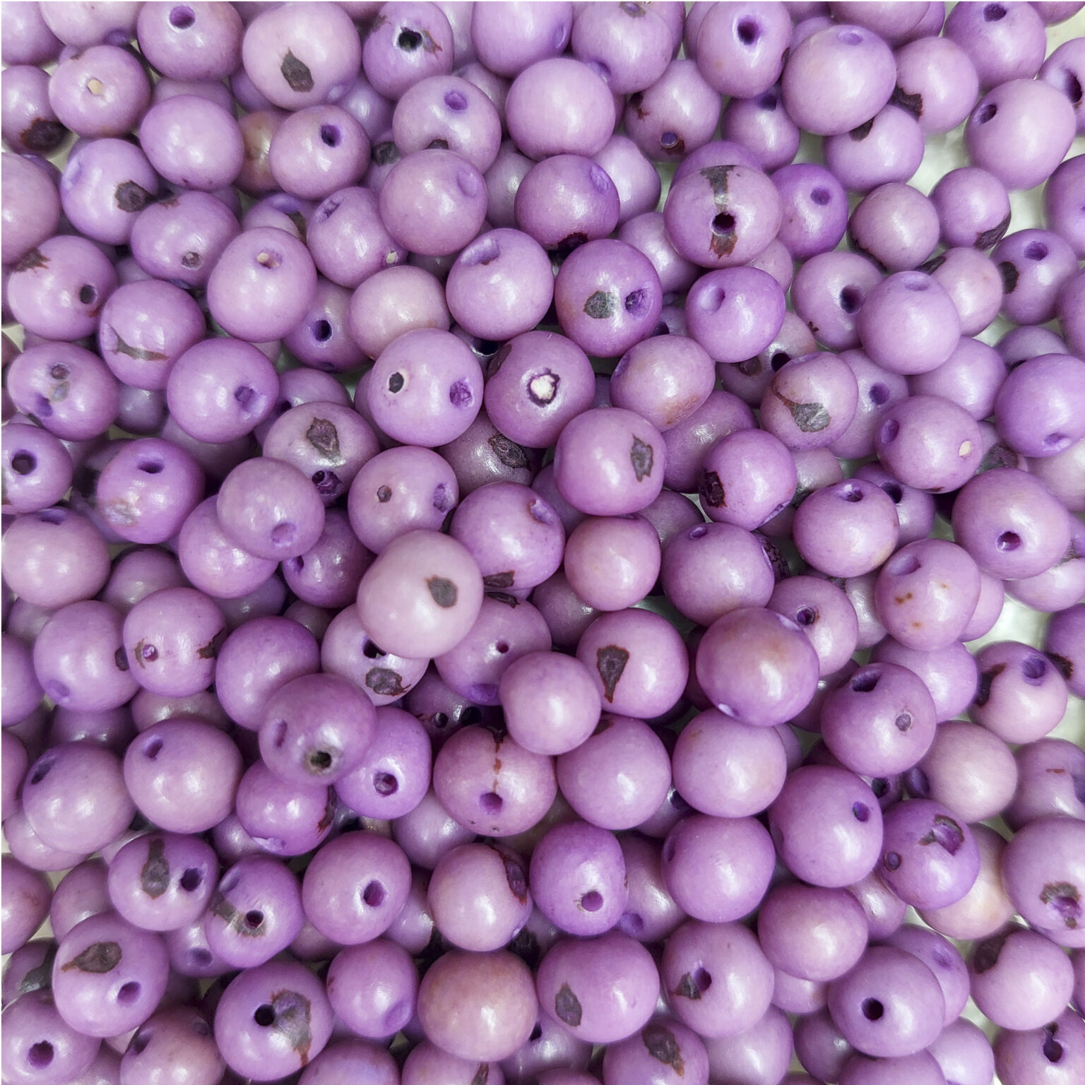 SEMENTE DE AÇAI PASSANTE COM 100 UNIDADES – Marp' Artes